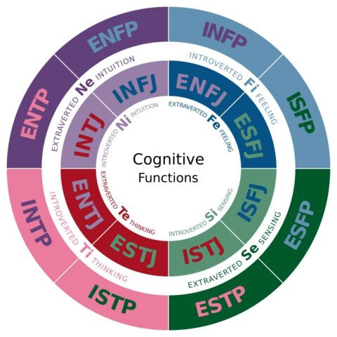 What Your Myers Briggs Percentages Types Reveal About You | elevanation.com